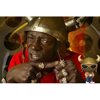 Toy Funko Pop Rocks N°310 Flavor Flav Vinyl Figure geek switzerland...